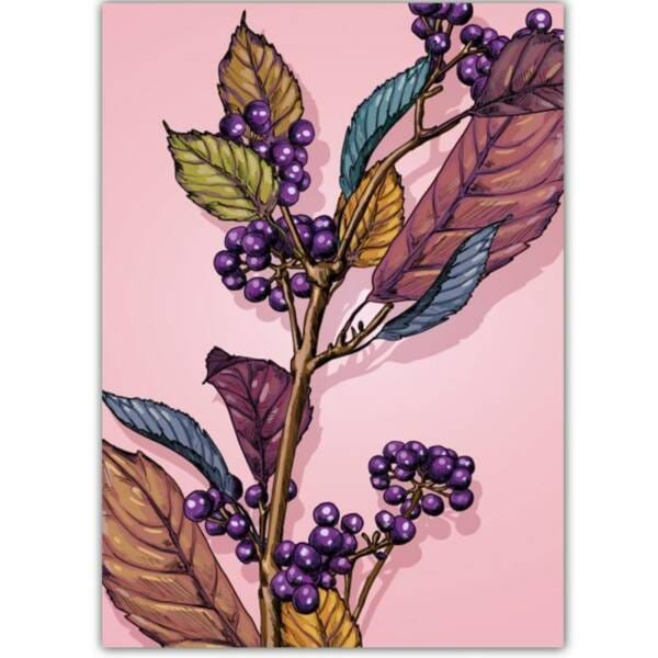 Ansichtkaart Padil | Alles in Wonderland