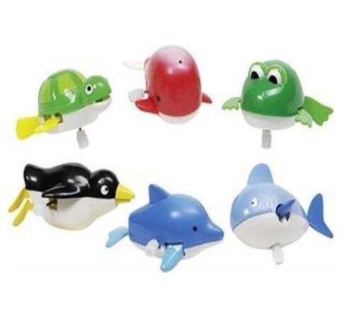 Opwind Zeedier Walvis | Alles in Wonderland